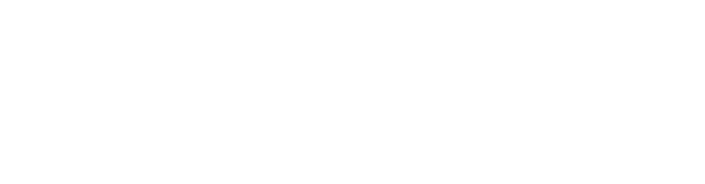 Quantum – Open Avionics Platform - Avidyne Quantum